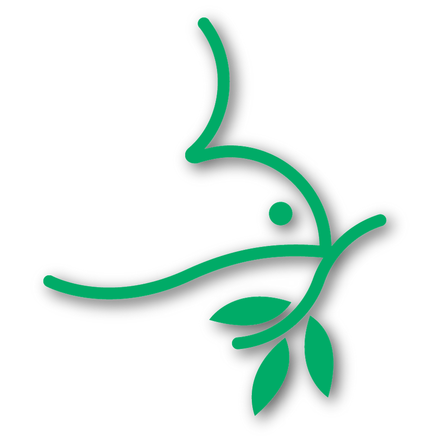 Valley View Mennonite Church – Valley Mennonite Church League